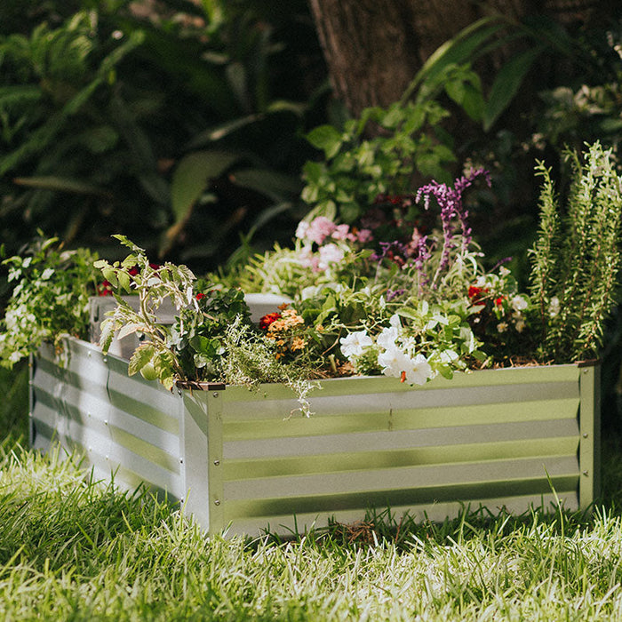 Subpod Mini Grow Bed Bundle