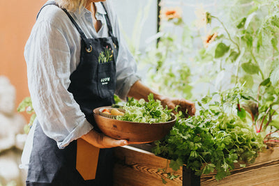 Subpod Knowledge Base | Composting Courses | Helpful Articles