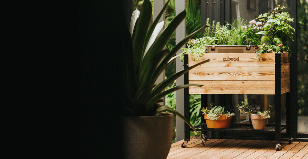 The Worm Farm That Makes Home Composting Easy!