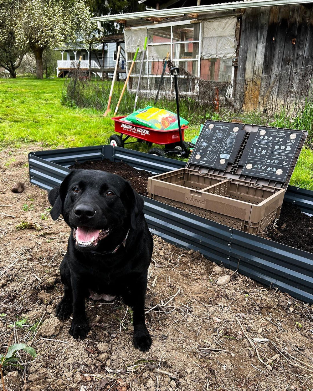 Subpod Classic Pet Poo Compost Bin