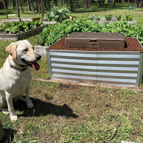 Subpod Classic Pet Poo Compost Bin